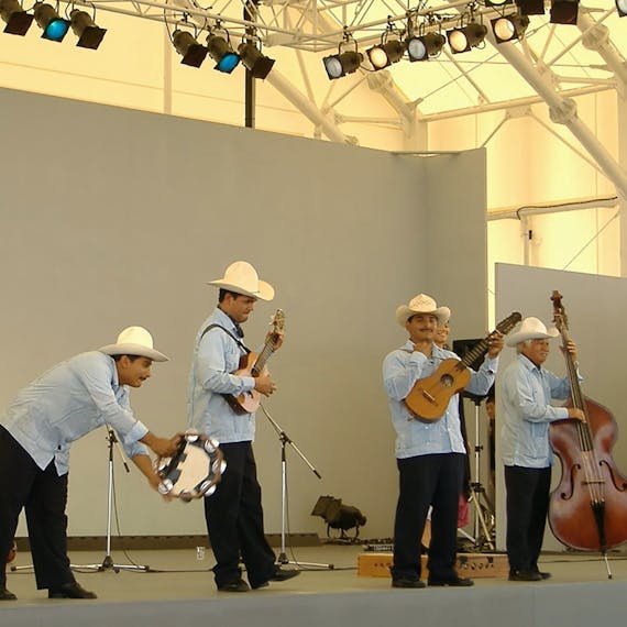 A Guide to Latin Music Genres | Carnegie Hall